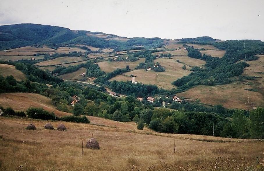 Sasina
