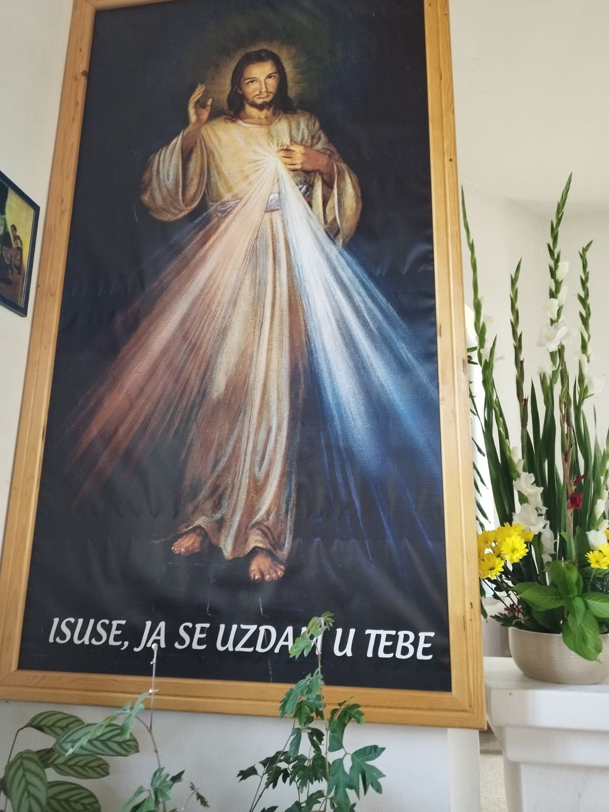 Sasina